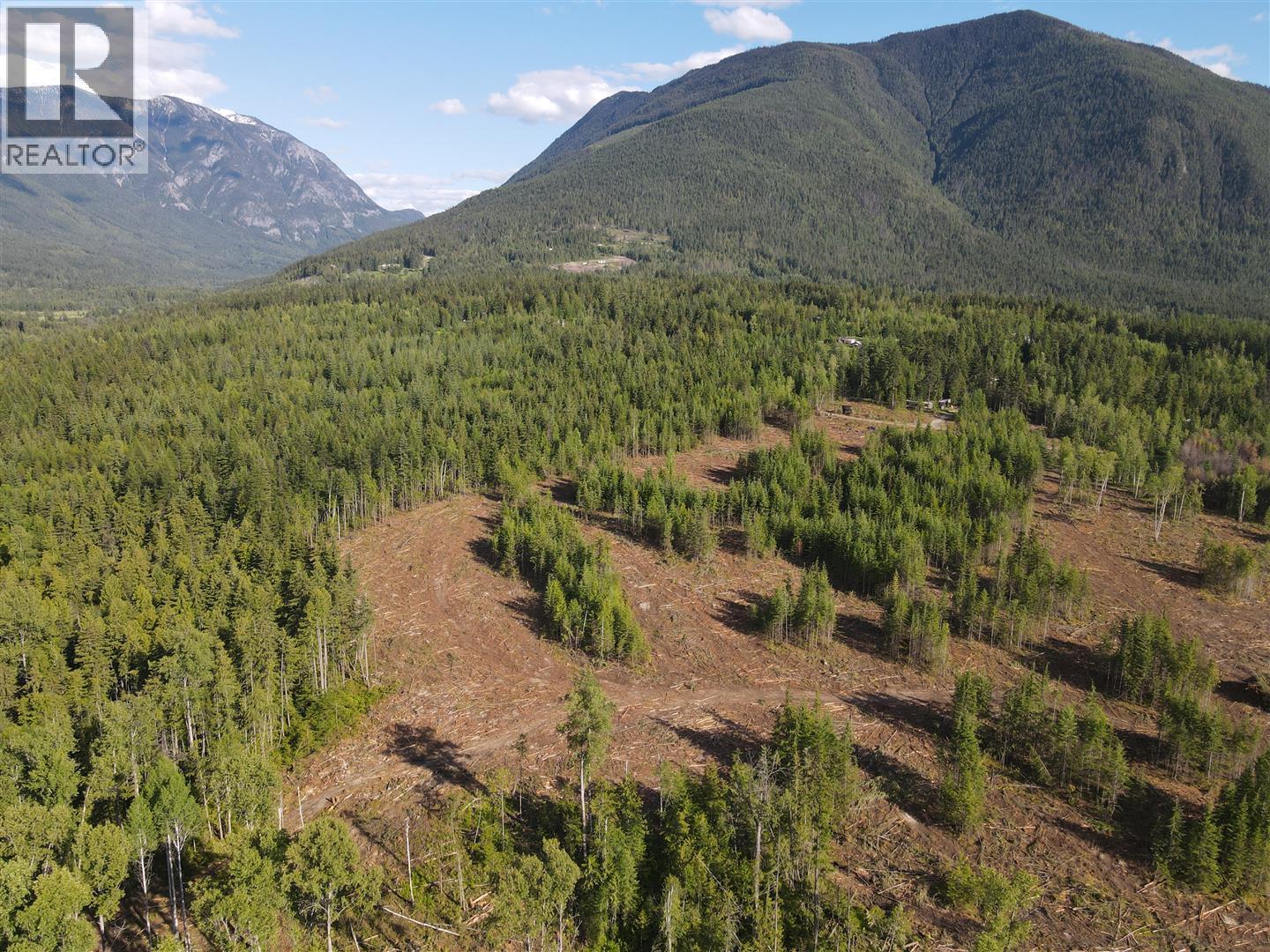 For sale: 944 Guidon Road, Nakusp, British Columbia V0G1R1 - 10388572 ...