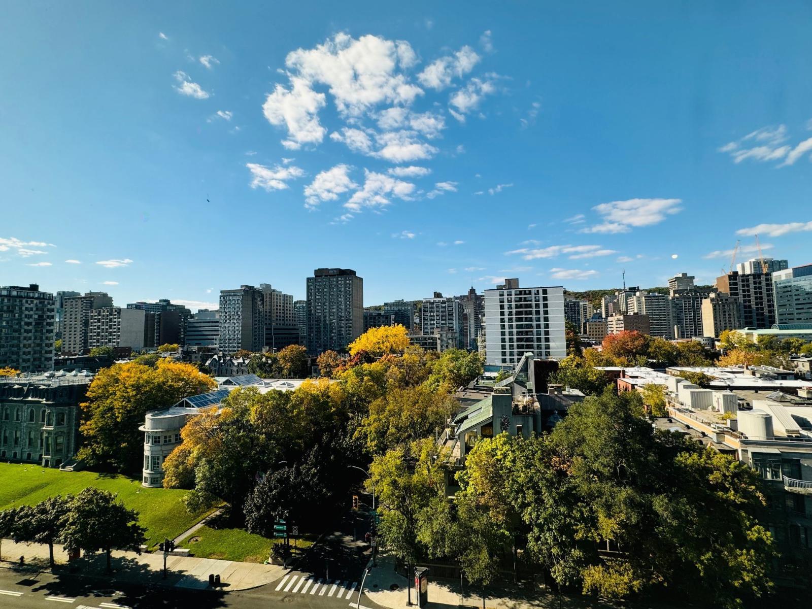 À louer : 1800 Boul. René-Lévesque O., #909, Montréal (Ville-Marie ...