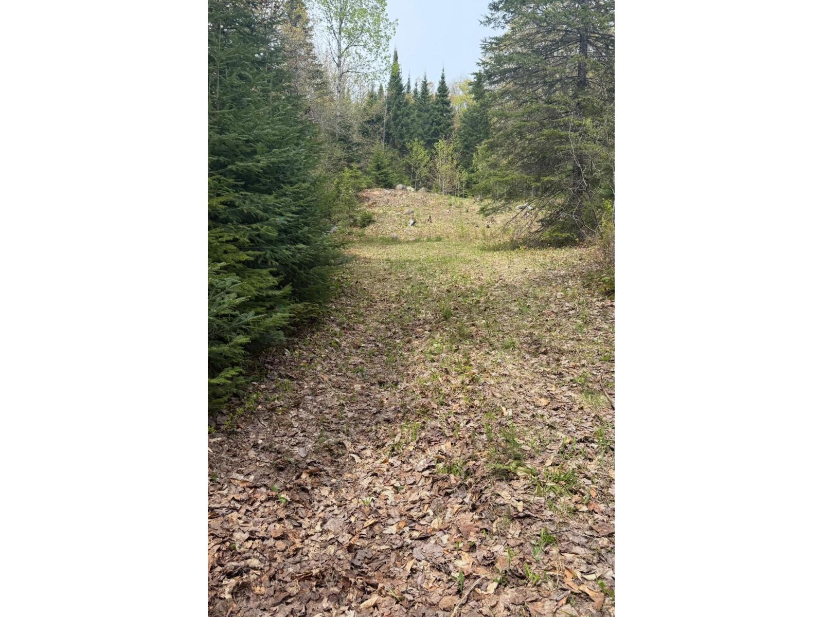 À vendre : 214 Ch. des Hauteurs, Sainte-Marguerite-du-Lac-Masson ...