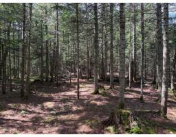 For sale: Ch. Sicard, Sainte-Lucie-des-Laurentides, Quebec J0T2J0 ...