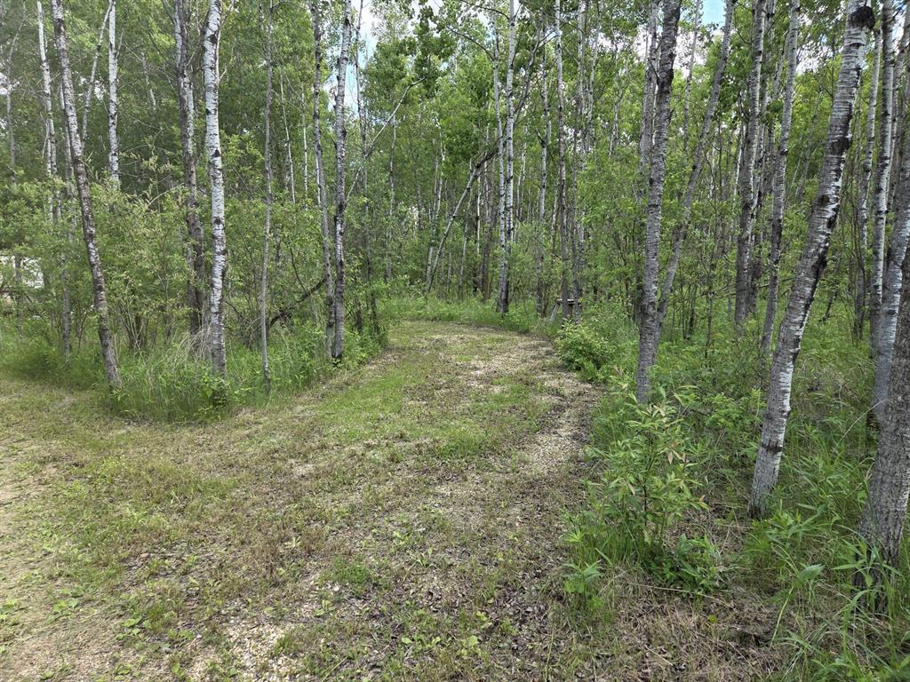 For sale: 85 Wall Street, Zhoda, Manitoba R0A2P0 - 202614426 | REALTOR.ca